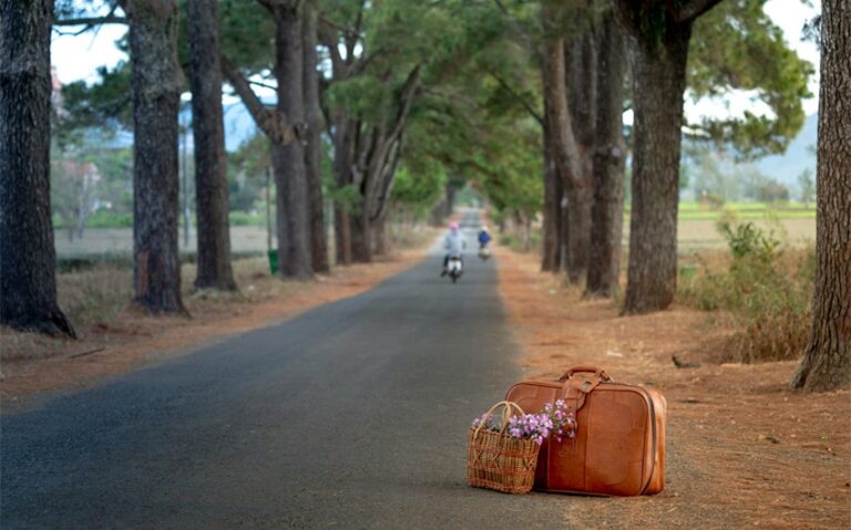 Things You Should Know About Travel Domestically Meaning